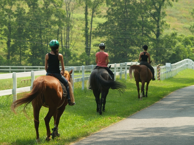 Watch the '15 Horsemasters Video - Teen Horseback Riding Summer Camp